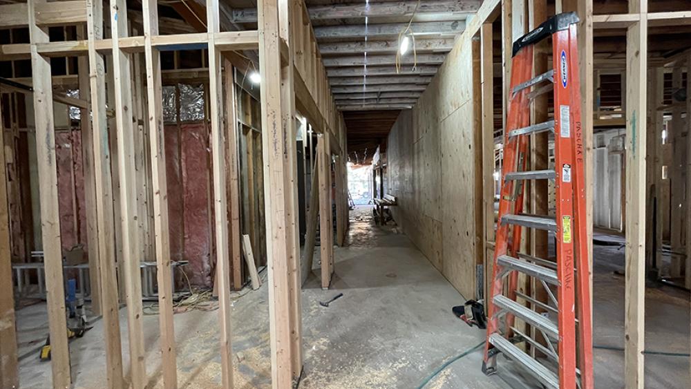 About the Move! | C.N. Gorman Museum