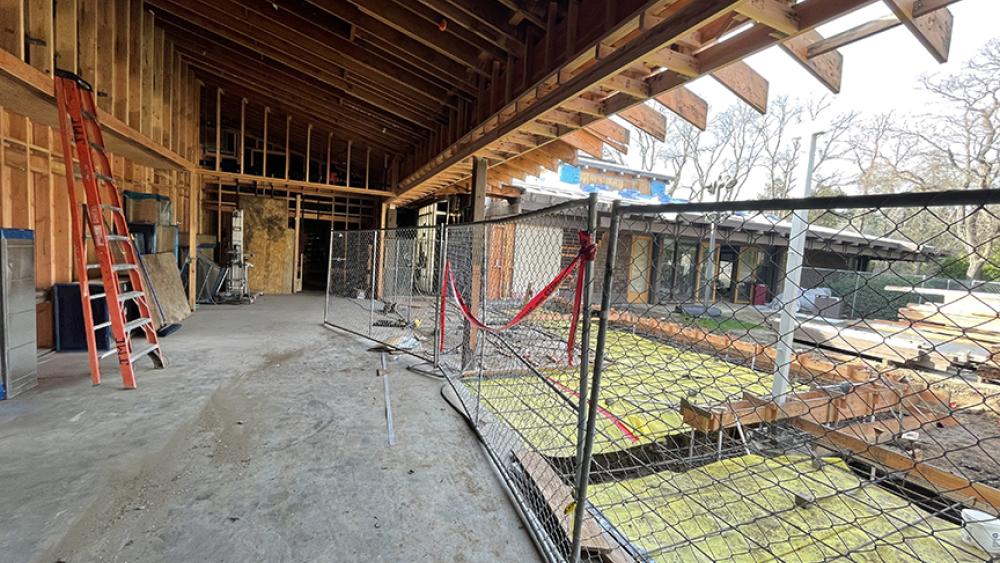 About the Move! | Gorman Museum