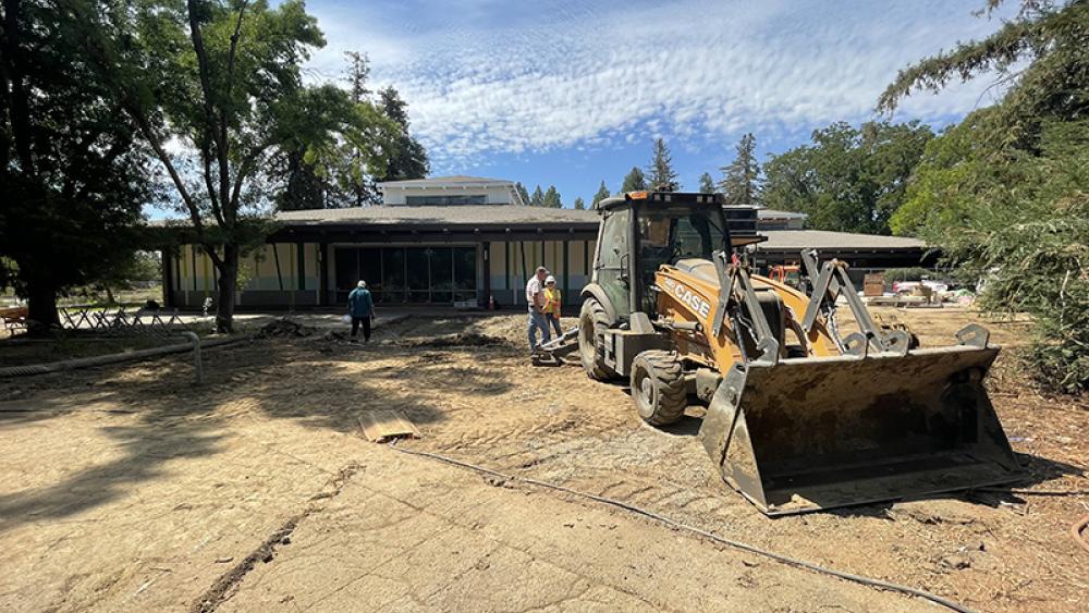 About the Move! | Gorman Museum